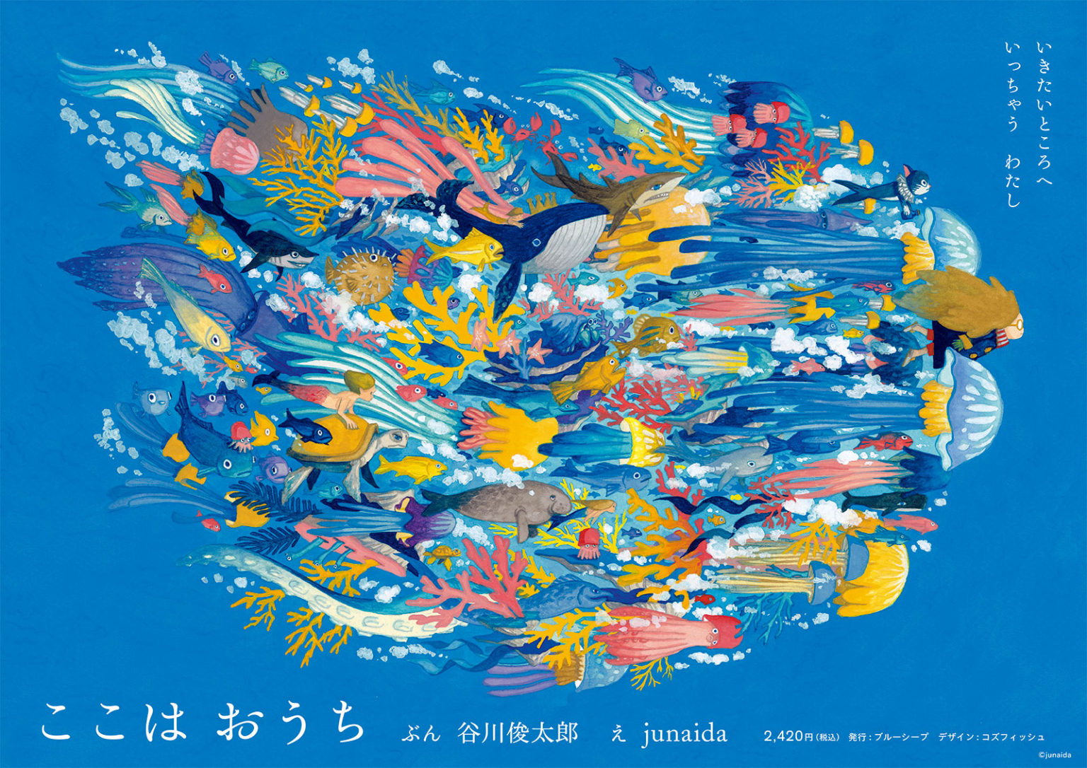 junaida.com » INFORMATION